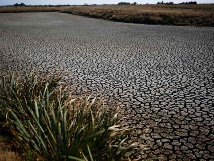 Sequía en Europa es la peor en 500 años, según estudio - Tu Noticia Sonora